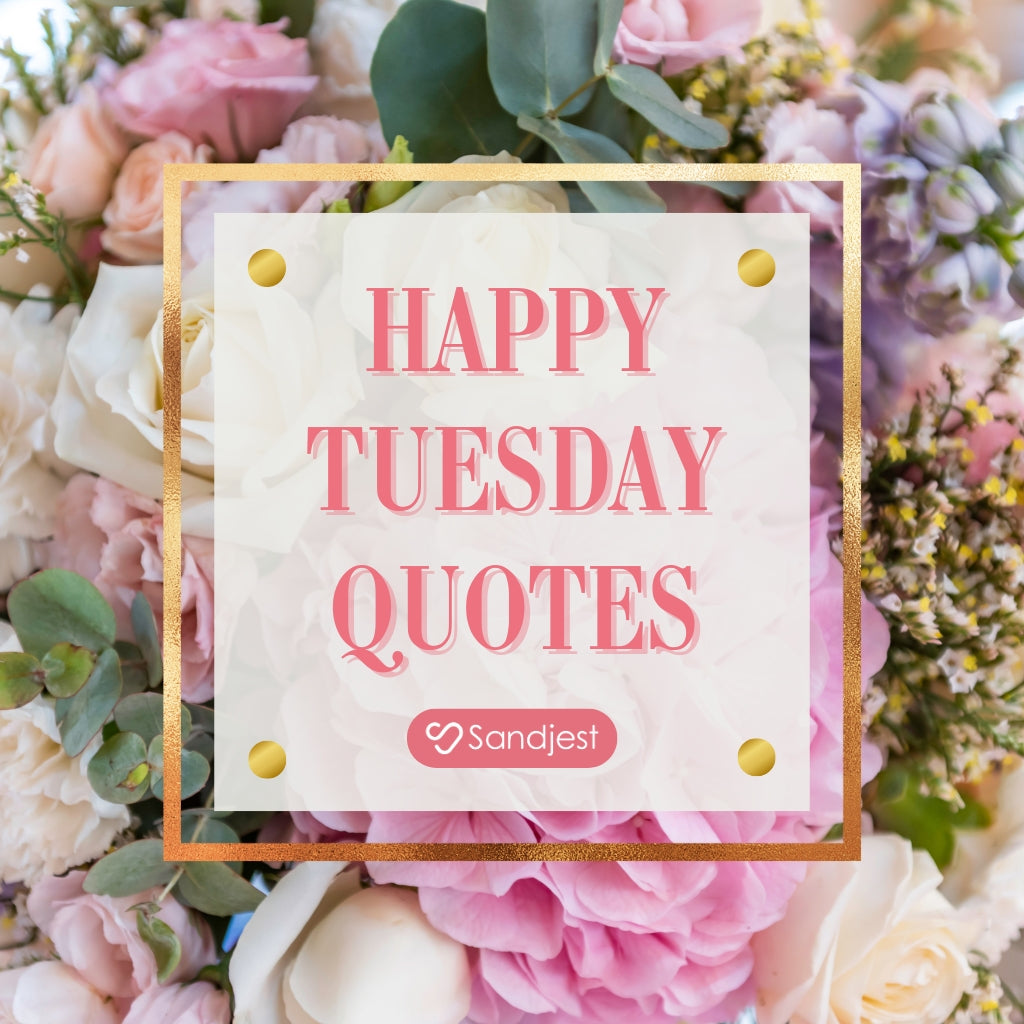 100+ Start Strong With These Happy Tuesday Quotes • Sandjest Gifts