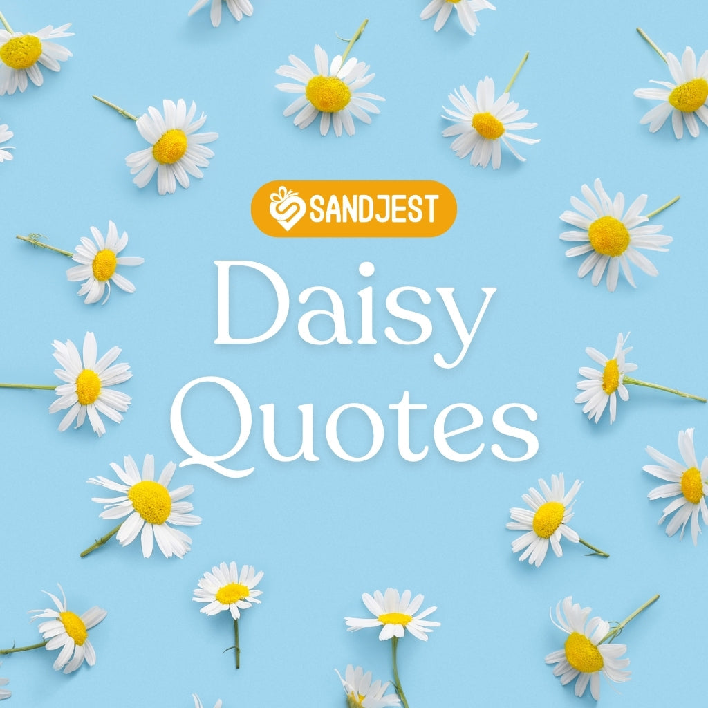 190+ Daisy Quotes That Will Make Your Heart Bloom | Sandjest Gifts
