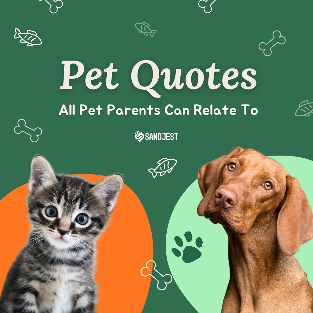 Quotes About Love for Pets • Sandjest Gifts