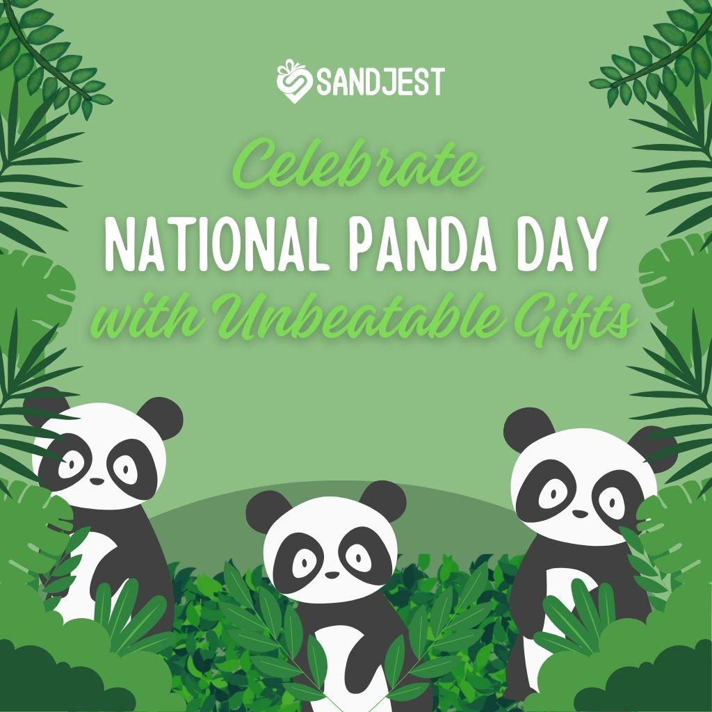Celebrate National Panda Day with Unbeatable Gifts • Sandjest Gifts