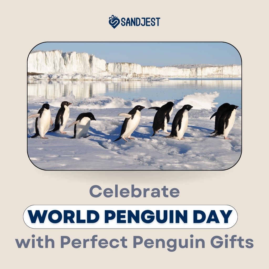 Celebrate World Penguin Day with Perfect Penguin Gifts • Sandjest Gifts