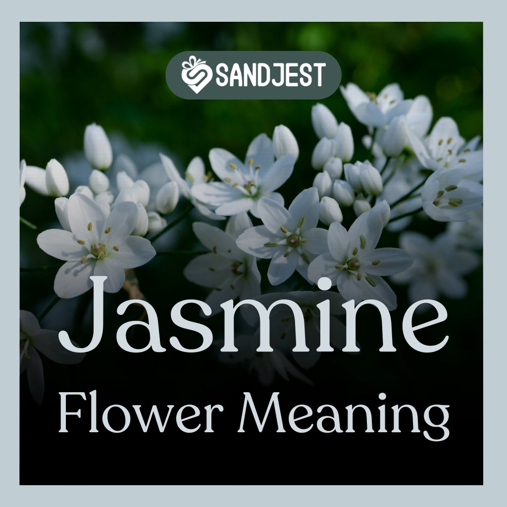 Jasmine Flower Meaning, Color Meaning & More | Sandjest Gifts